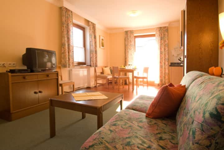Quiet Mountain Flat, Tennengebirge – 2 Baths - Abtenau
