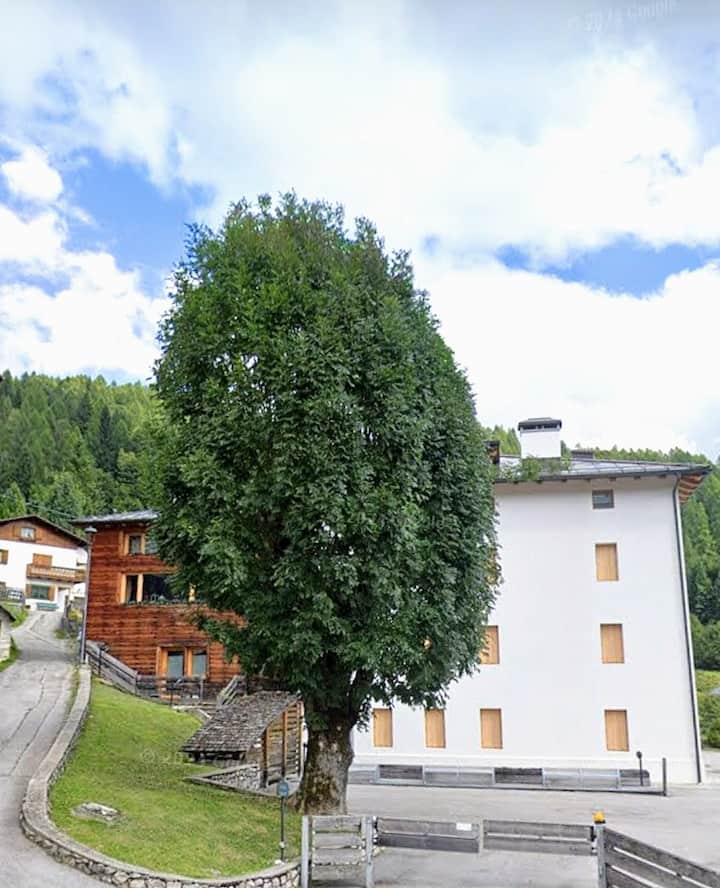 Stupendo Appartamento A Zoldo Alto (Dolomiti) - Alleghe