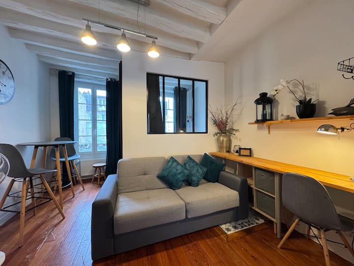 (3) Charmant Appartement Meublé En Centre Ville - Fontainebleau