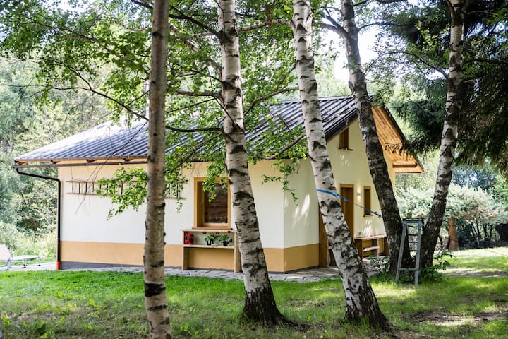 Maison Dans Les Bois – Nature, Détente Et Confort - Sauze d'Oulx
