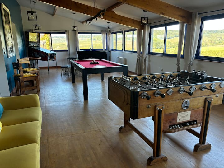Villa 12 Pers " Cœur De Champagne  " - Épernay