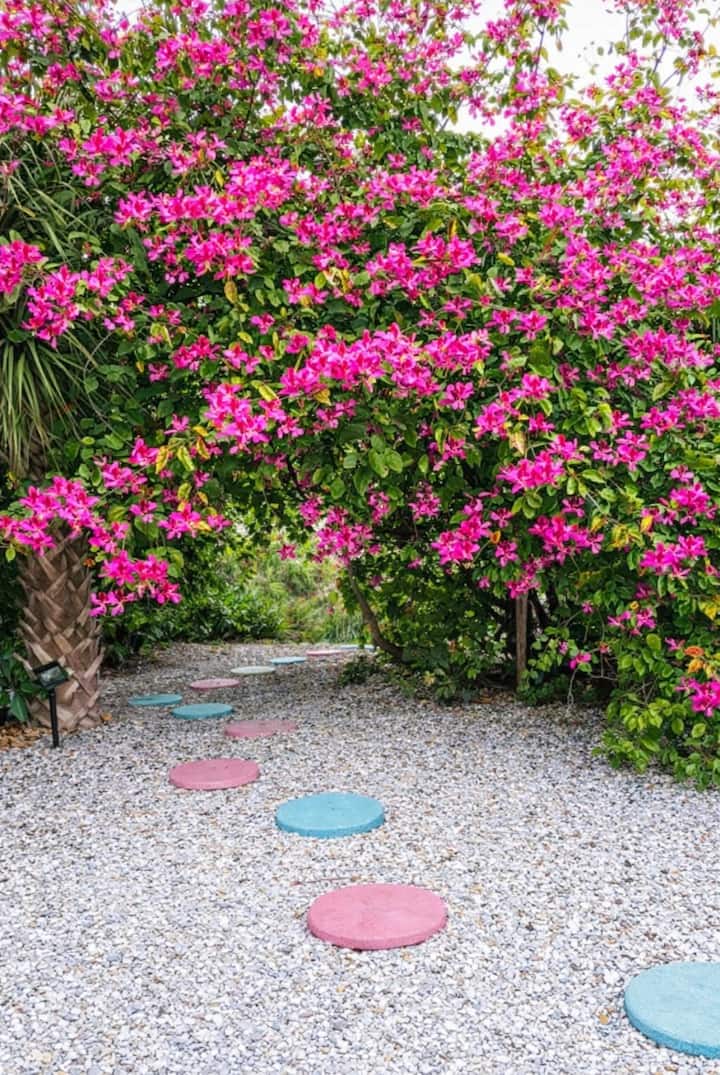 Venice Oasis - Venice Beach, Venice