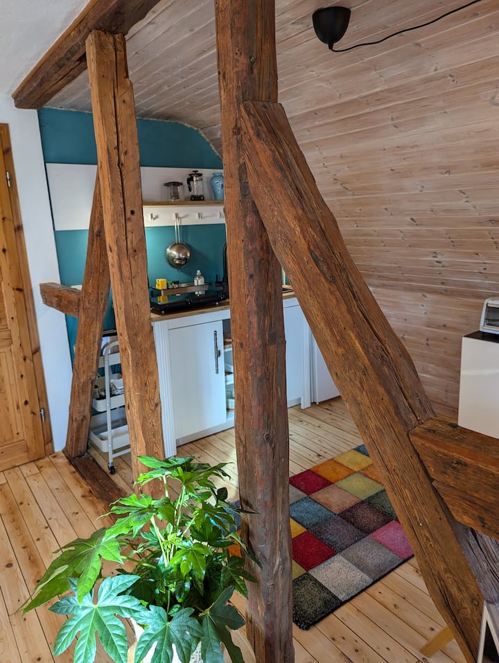 Fewo Schwalbennest - Ratzeburg