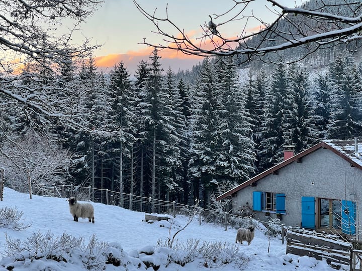 Gite B&b Pour 4 Personnes à 5 Min De Gerardmer - Gérardmer