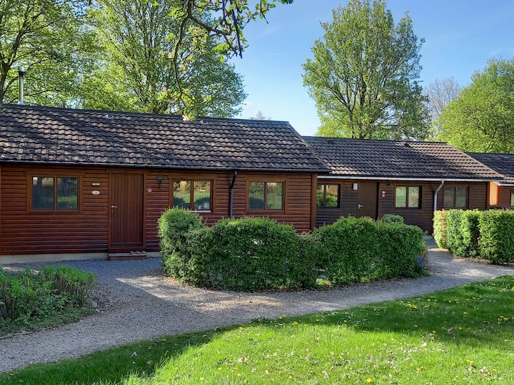 Betaalbaar Comfort In Chalet 138 - La Roche-en-Ardenne