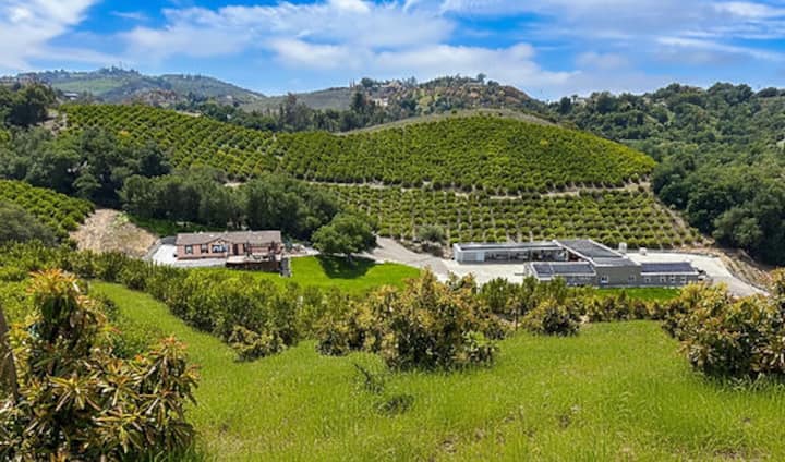 Sunmist Estate, Temecula: Luxury Wedding & Retreat - Temecula, CA