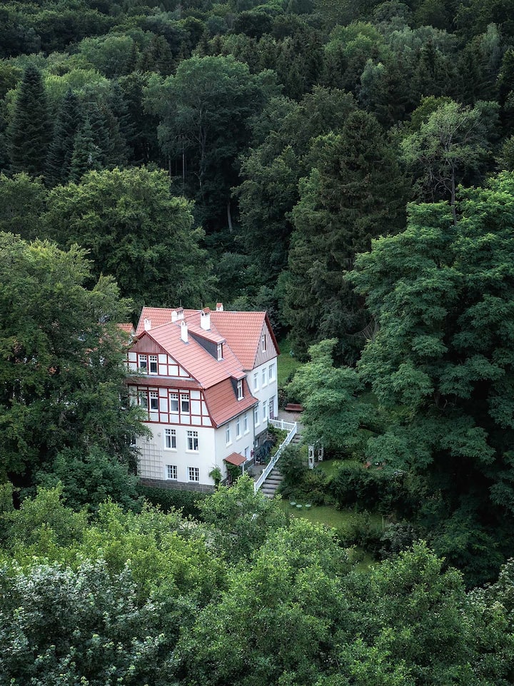 Große, Renovierte Villa Mitten Im Wald - Kassel