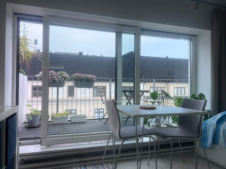 Studio With Sunny Terrace In Center - Helsinki