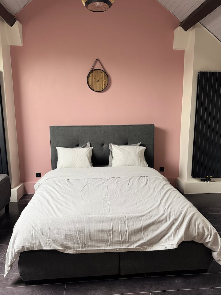 Tout Nouveau Appartement Rénové - Koekelberg