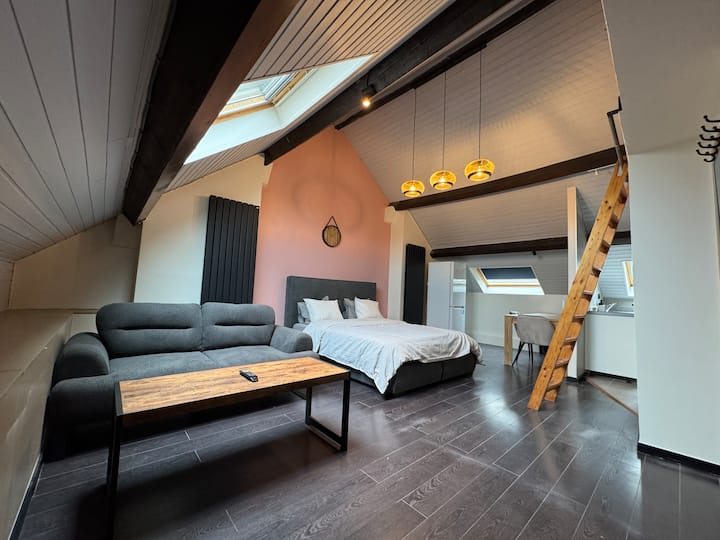 Tout Nouveau Appartement Rénové - Brüssel Region, Belgien