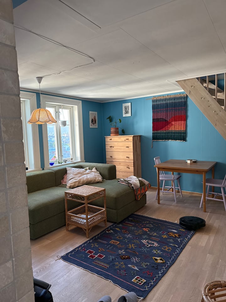 Charming Apartment With City View & Shared Garden - Bergen