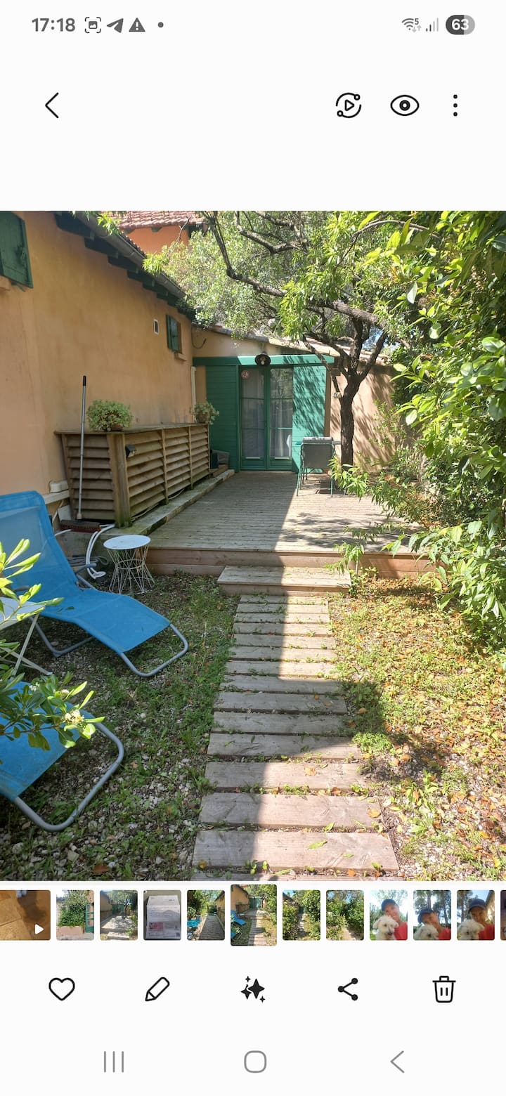 Beau Studio Dans Jardin Avec Piscine - Castelnau-le-Lez