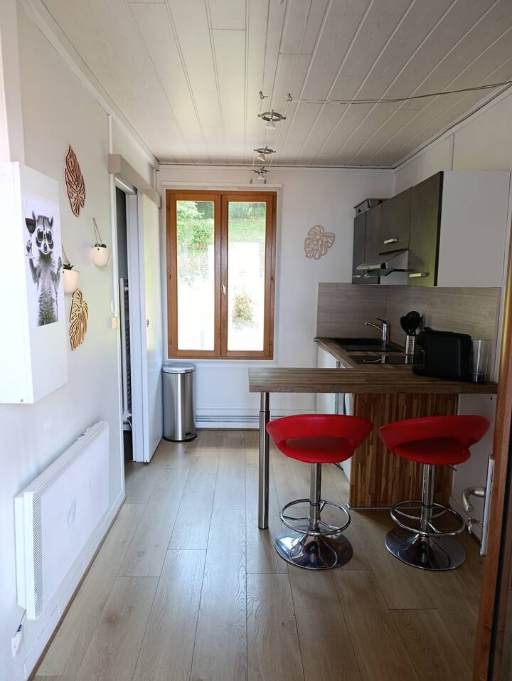Charmant Studio Dans Vieux Village - Évian-les-Bains