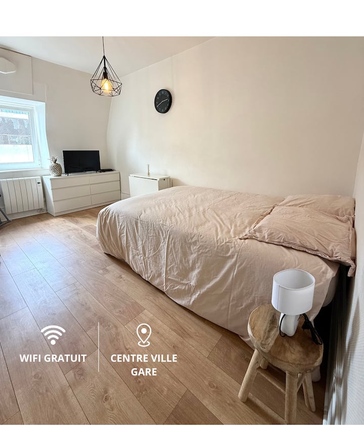 Studio Tout Confort Cité De La Gastronomie (4) - Dijon