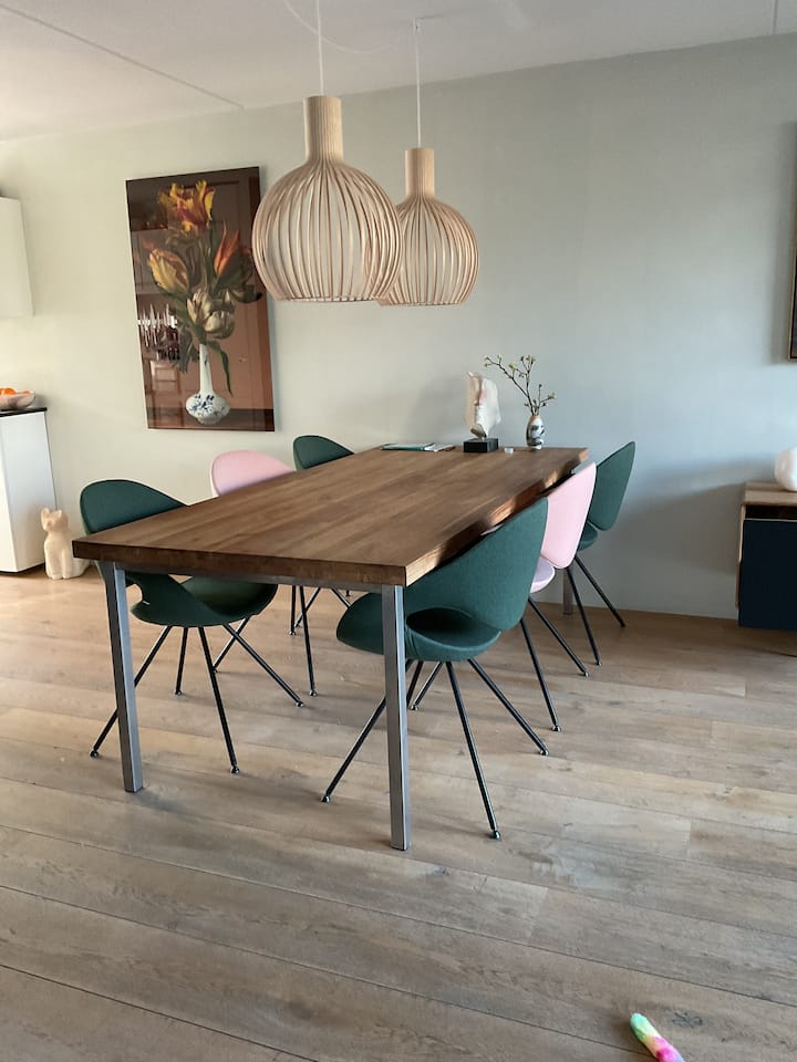 Familiehuis Met Heerlijke Tuin - Leiden