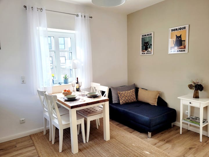 Gemütliches Apartment In Brühl Bei Köln/bonn - Wesseling