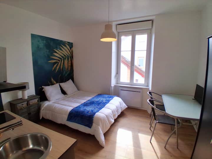 Studio Cv à 100 M De L'entrée Psa Et Faurecia (5) - Montbéliard