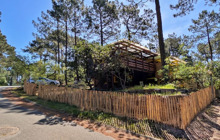 Chalet Pomme De Pin - Maubuisson