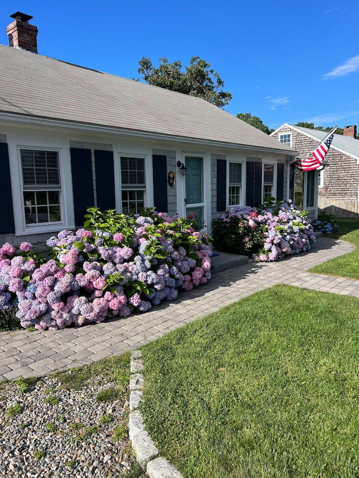 Cozy Cape Cod Beach Cottage - Harwich, MA