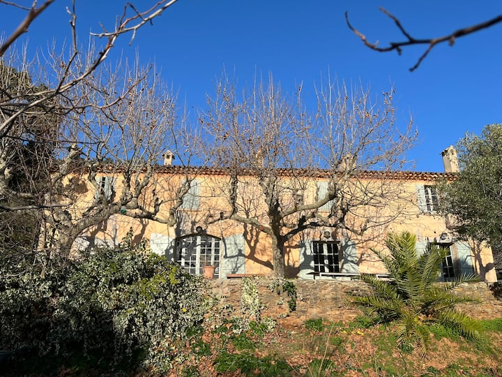 Mas Provençal " Le Jas " 15 Personnes - Hyères