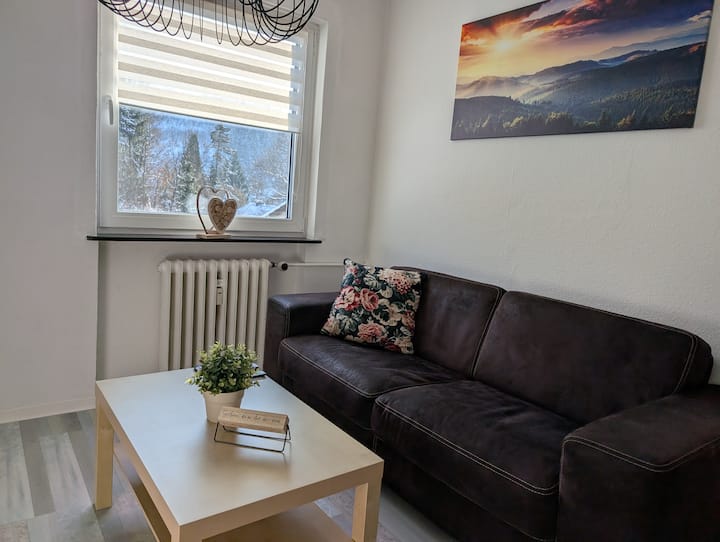 Gemütliche Fewo Für 2 Personen Mit Harzblick - Harz