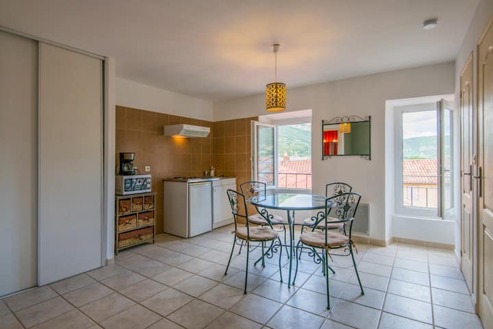 La Bellevue En Plein Cœur Du Centre-ville Wifi - ibis Budget Millau Viaduc