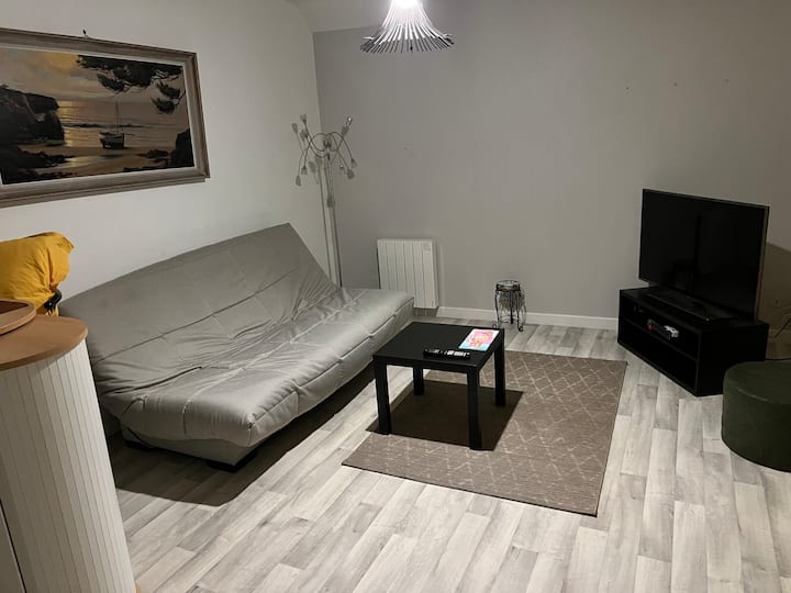 Appartement Aux Calme En Plein Sud Non Fumeur - Oyonnax