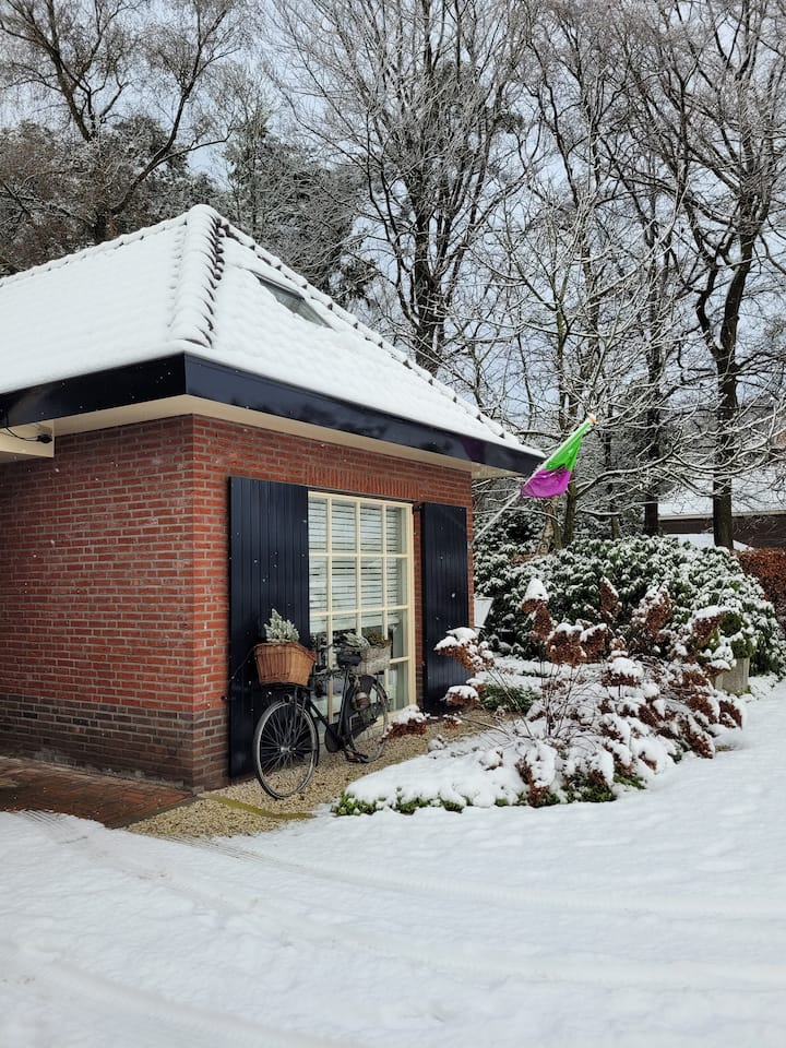 Het Huisje Met De Blauwe Luiken, Bij De Veluwe. - Netherlands