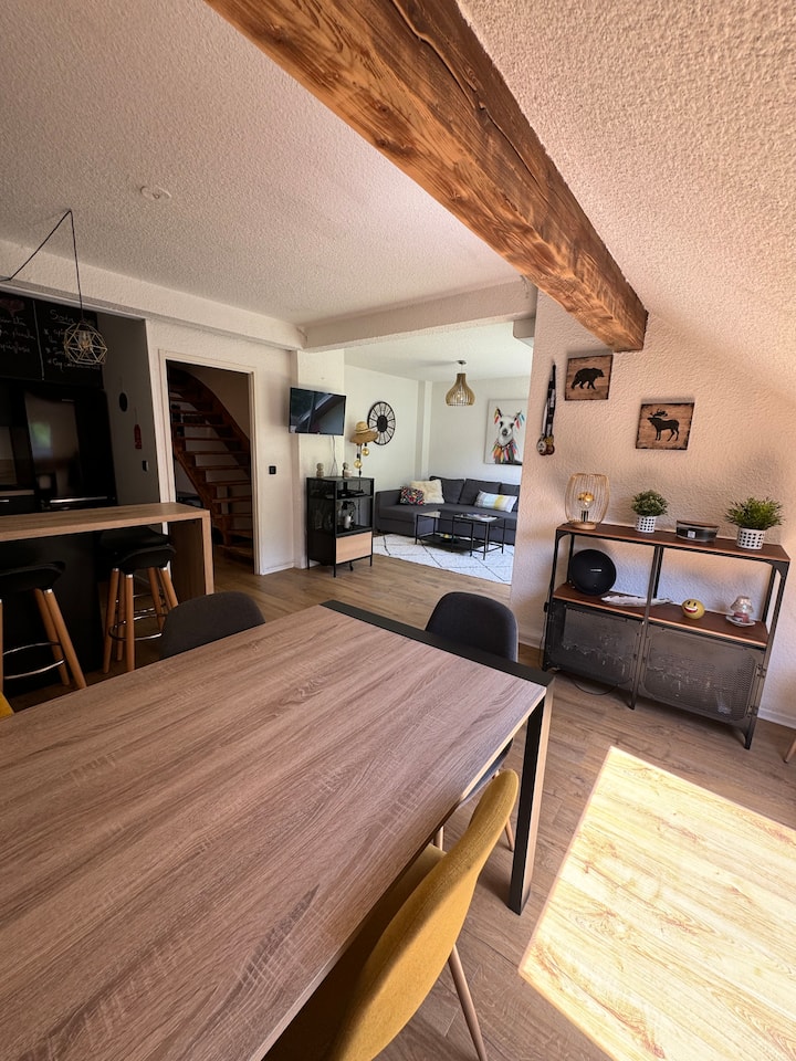 Très Bel Et Spacieux Appartement Sur St Lary - Saint-Lary-Soulan