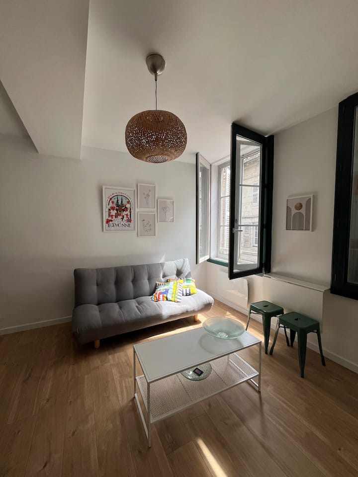 Charmant Appart Rénové, Hyper Centre Et Lumineux - Bayonne