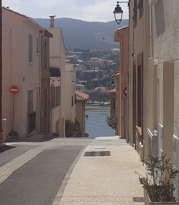 Cap D'osne à 2 Mn De La Mer - Banyuls-sur-Mer