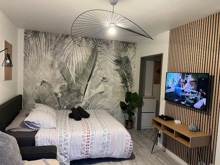 Appartement De Charme, Maisons Des Examens, Paris - Montrouge