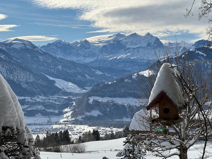 Visit Lucerne + Interlaken, Enjoy View + Coziness - Giswil