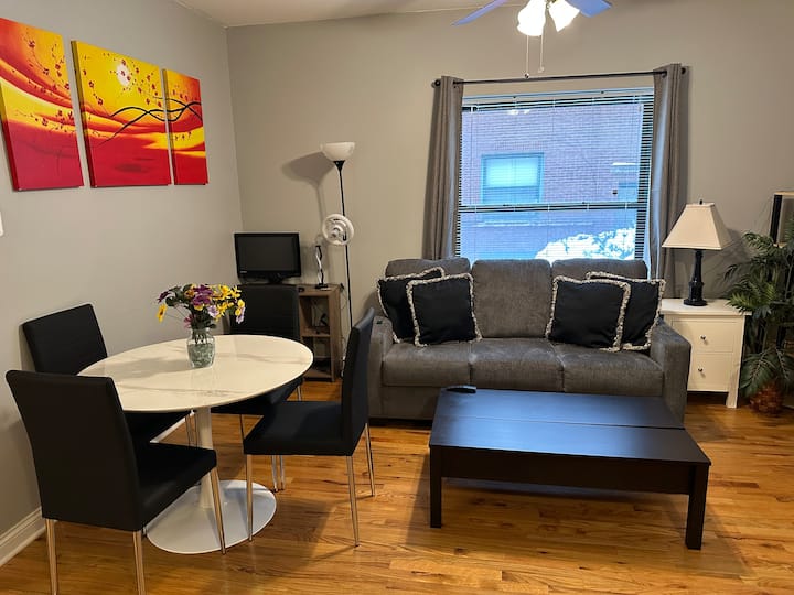 Fuzzy Master Bedroom (Entire Apt) - Chicago, IL