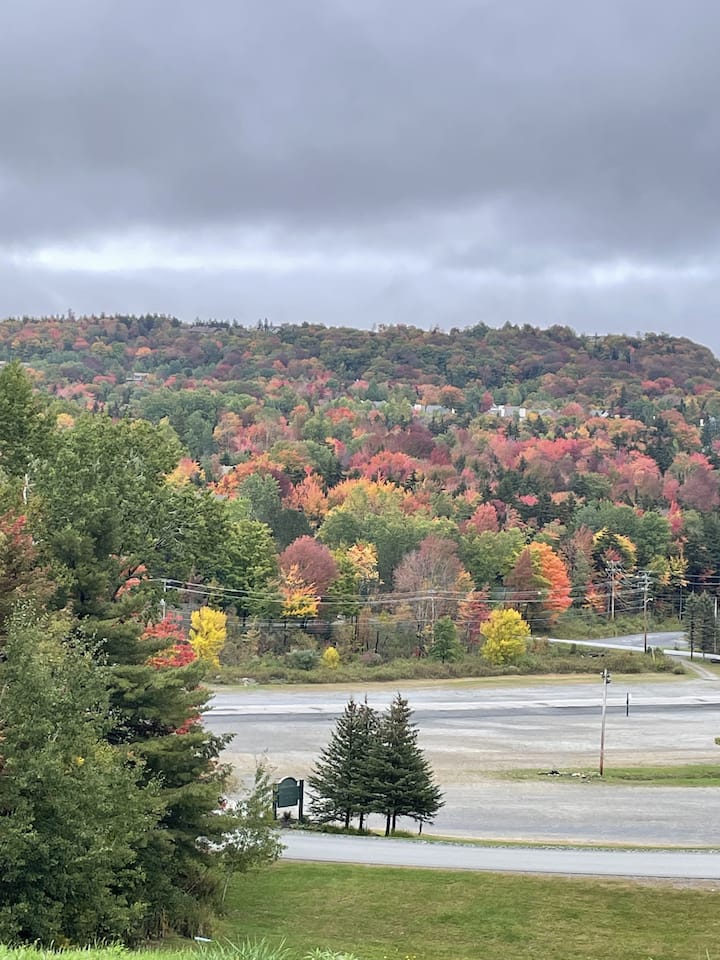 4br Ski Chalet | Hot Tub | Mins To Stratton, Vt - Vermont