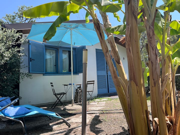 Chalet 5 Nel "Miniglamp E.v. - Camping"  Di Ischia - Ischia