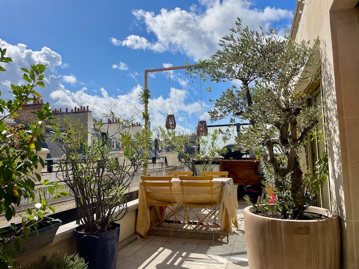 Paris Appartement Avec Terrasse Champs Elysées - Paris