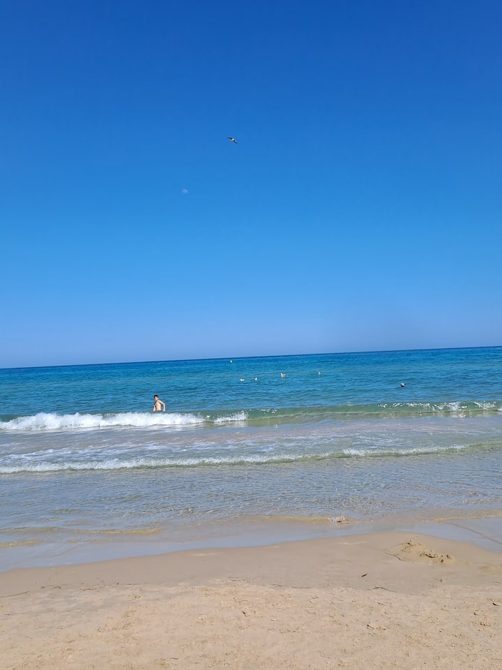 Romántica Vista Al Paseo Marítimo De Cádiz - Cádiz