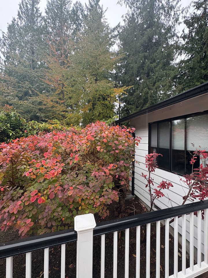 Full Unit, Quiet, Close To Google And Microsoft - Bellevue, WA