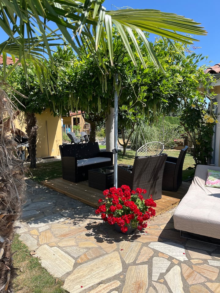 Les Violettes Dans La Loire - Saint-Galmier