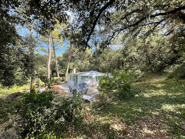 Pour Amateurs D’espaces Naturels, En Bord De Mer. - Loix