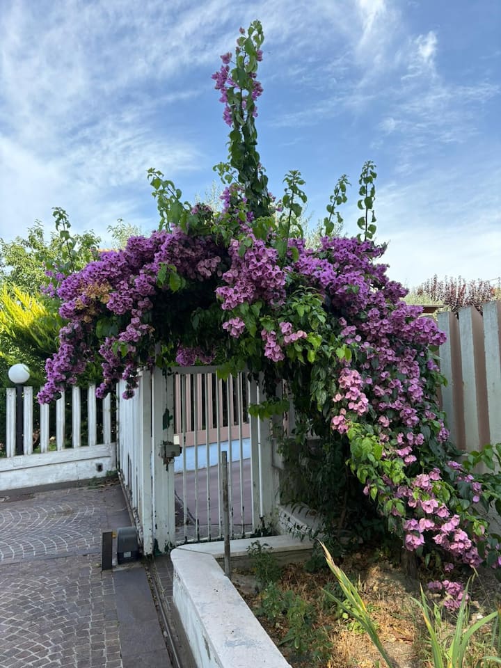 Come Stare A Casa Tua,3 Minuti Dall'ospedale. - Pescara