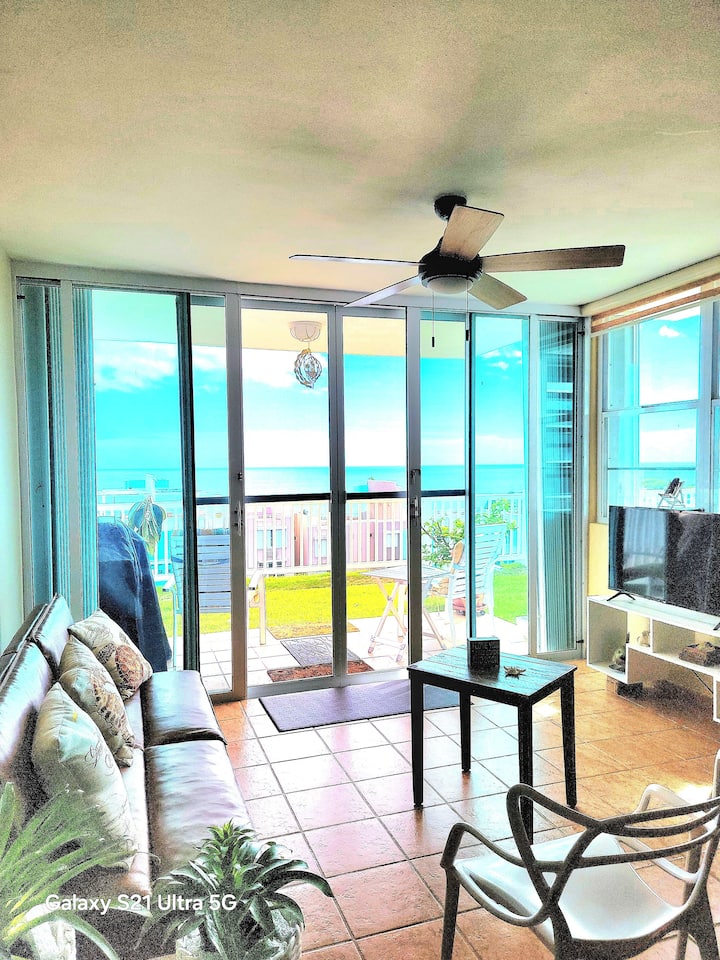 Vistamar Maunabo Amazing Ocean Views/pet Friendly - Maunabo