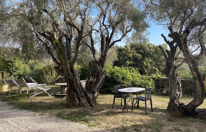 Studio Avec Jardin Privatif - Sanary-sur-Mer
