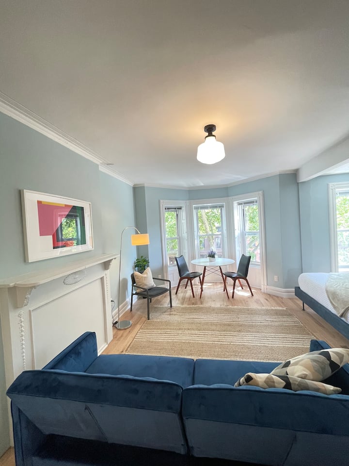 Calming Newly Renovated Studio Apartment - 布魯克林