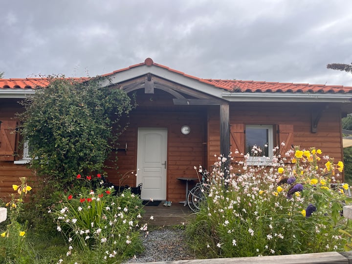 Chalet Bambou - Parentis-en-Born