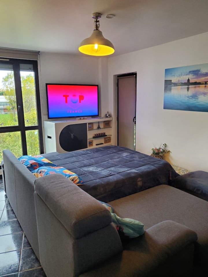 Grand Appart Cosy Métro - Toulouse