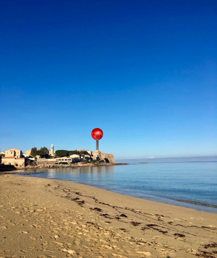 Appartement Sur La Mer En Corse - Algajola