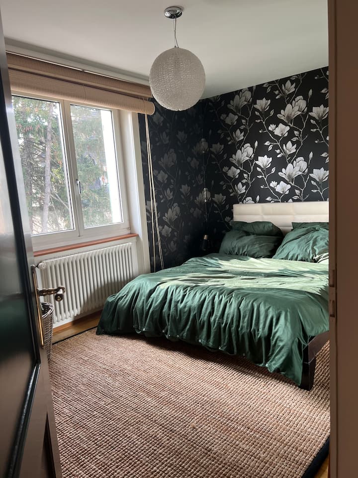 Cozy Flat In The Heart Of Zürich - Zürich