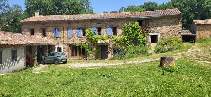 Ferme, Grands Arbres, 6 à 23 Personnes. - Revel